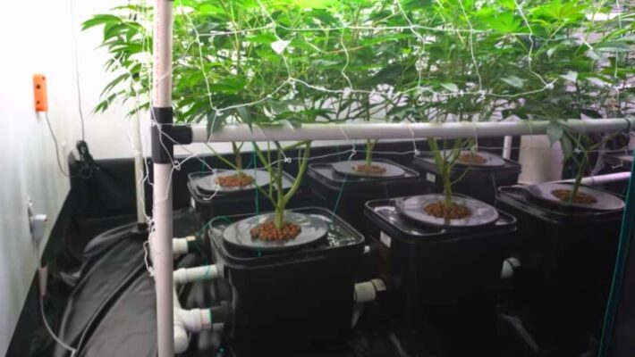 A Guide To Building An Rdwc System Diy Tips And Tricks